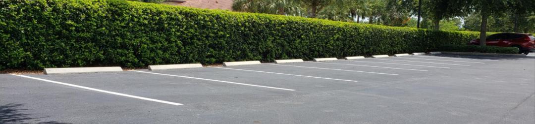 Parking Lot Striping Palm Harbor | All Phase Paving & Sealing